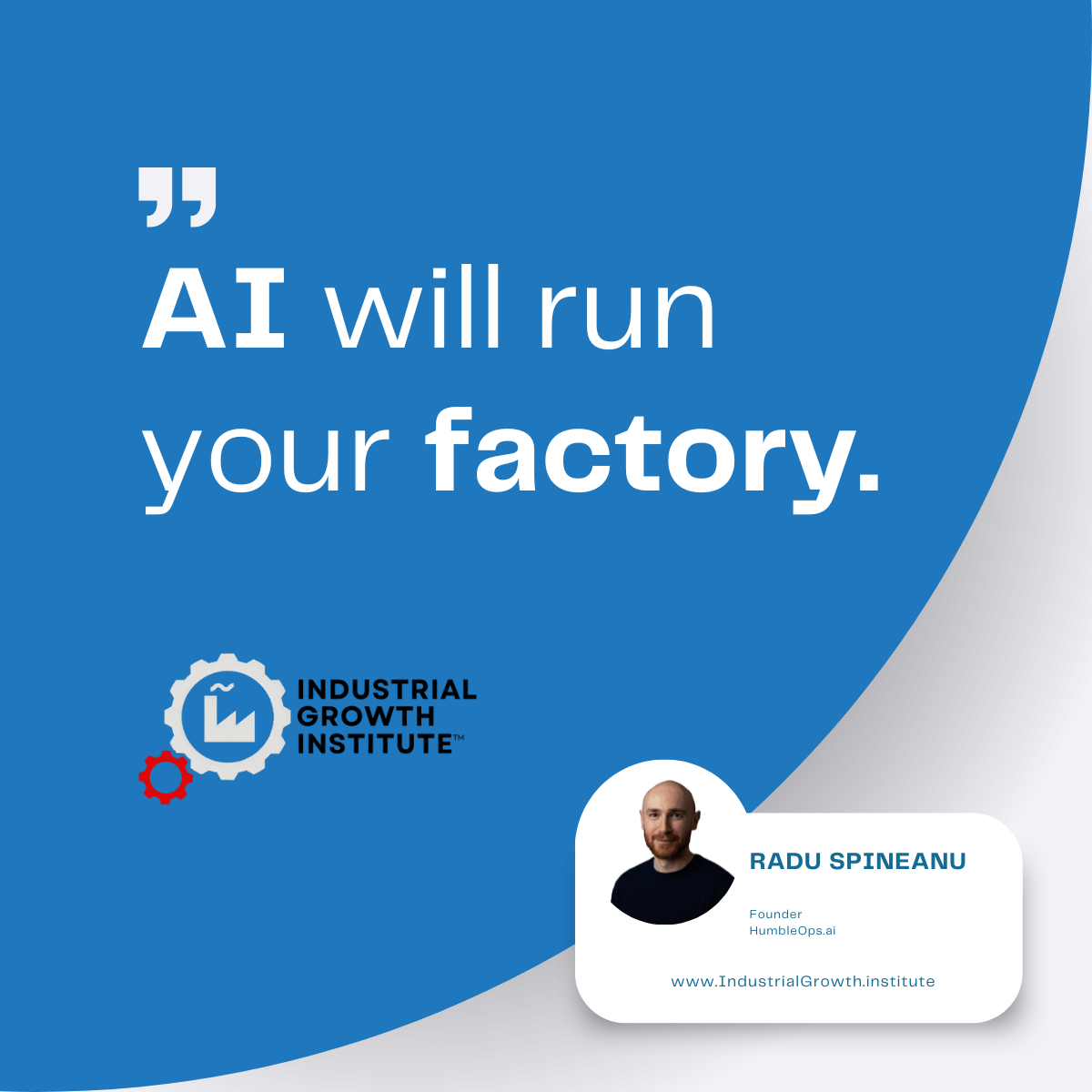 Radu Spineanu on AI in Manufacturing - Disruption and Opportunity